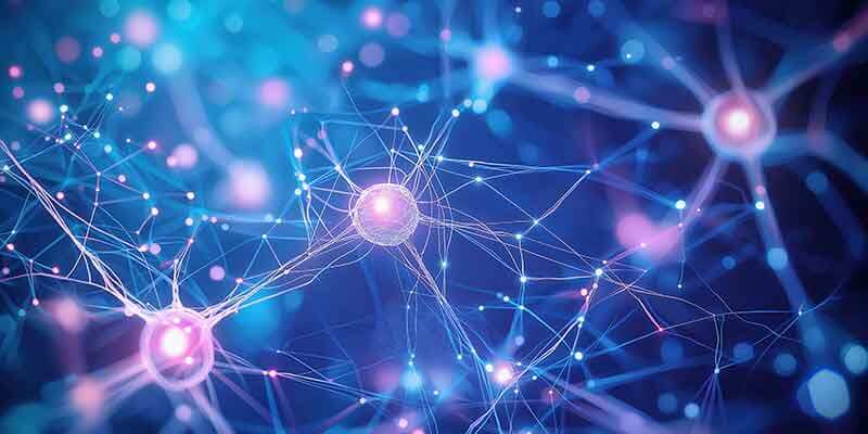 Reti Neurali: cosa sono, come funzionano e dove si applicano
